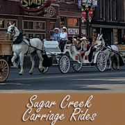 Horse-Drawn Carriage Service in Nashville Tennessee | NashvilleLife.com
